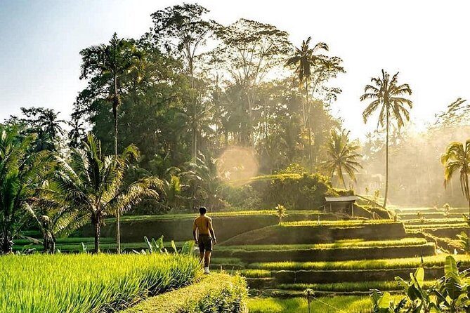 Best of Ubud - Full day Tour + FREE WI-FI - A Closer Look at the Ubud Full-Day Tour