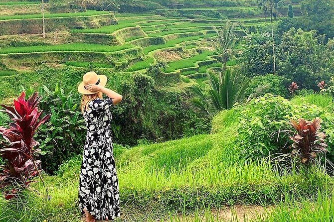 Best of Ubud - Kintamani Volcano View - Private Tour - What’s Included and What to Expect