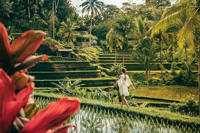 Best of Ubud: Private All-Inclusive Tour with Jungle Swing - The Sum Up: Who Is This Tour Best For?