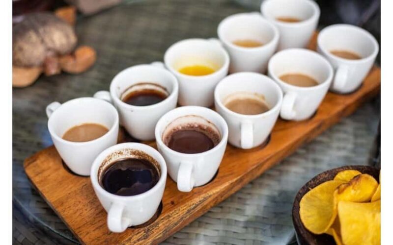 Best of Ubud - Private Guided Full-Day Tour, Ubud, Bali - Who Is This Tour For?