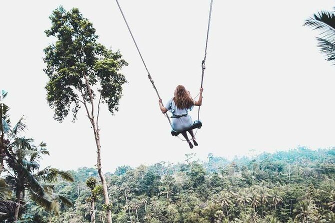 Best of Ubud Private Tour with Jungle Swing Experience - An Inside Look at the Ubud Private Tour Experience