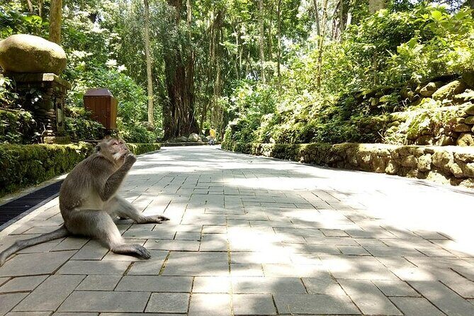 Best of Ubud Private Tour with Jungle Swing Experience - FAQ