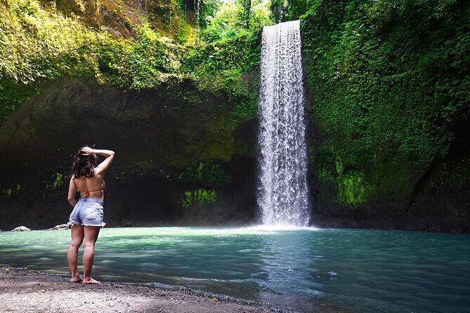 Best Of Ubud: Temples, Rice Terraces, Waterfalls & Private Tour - A Day in Ubud: What to Expect from the Tour