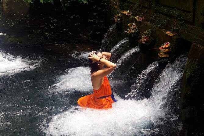 Best of Ubud Tour Combination Holy Water Cleansing - An In-Depth Look at the Ubud Tour Experience