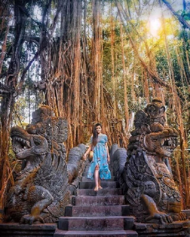 Best of Ubud Tour with a Female Local Guide - The Sum Up: Who Should Sign Up?