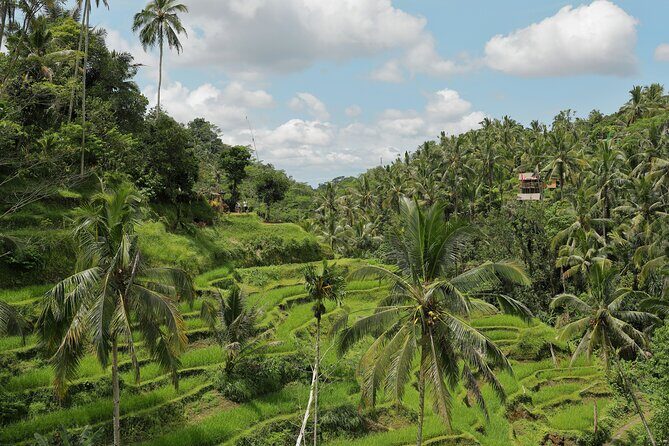 Best of Ubud Tour with Jungle Swing - All Inclusive - A Deep Dive into the Ubud Experience