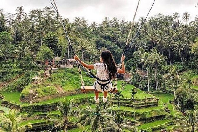 Best of Ubud Tour with Jungle Swing Private and All Inclusive - Who Will Love This Tour?