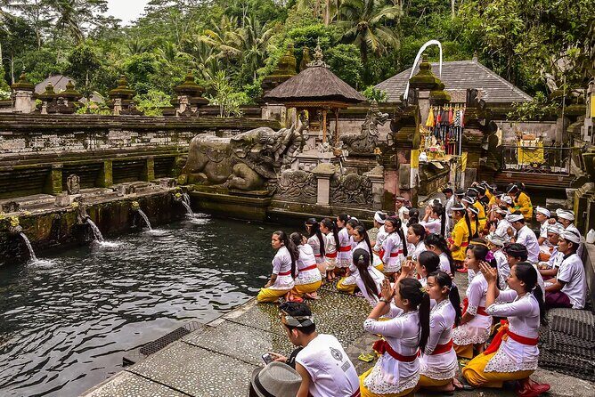 Best of Ubud Tours with Jungle Swing ( All Inclusive ) - Who Should Consider This Tour?