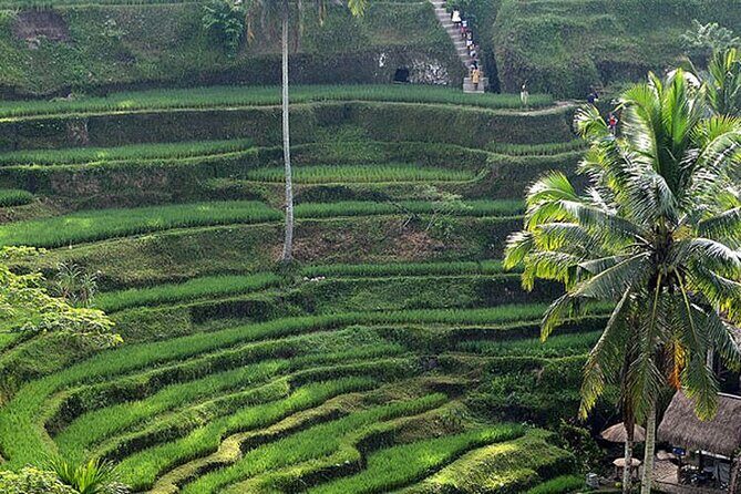 Best Of Ubud: UNESCO Rice Terraces, Monkey Forest - FAQs