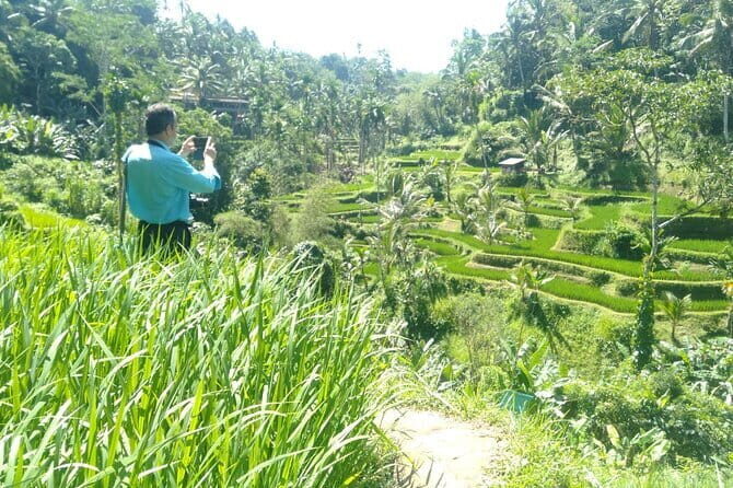 Best Of Ubud Waterfall Swing Private Guided Tour - An In-Depth Look at the Tour Experience