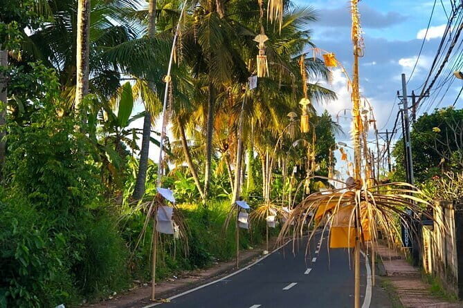 Best Of Ubud Waterfall Swing Private Guided Tour - Practical Aspects and Value