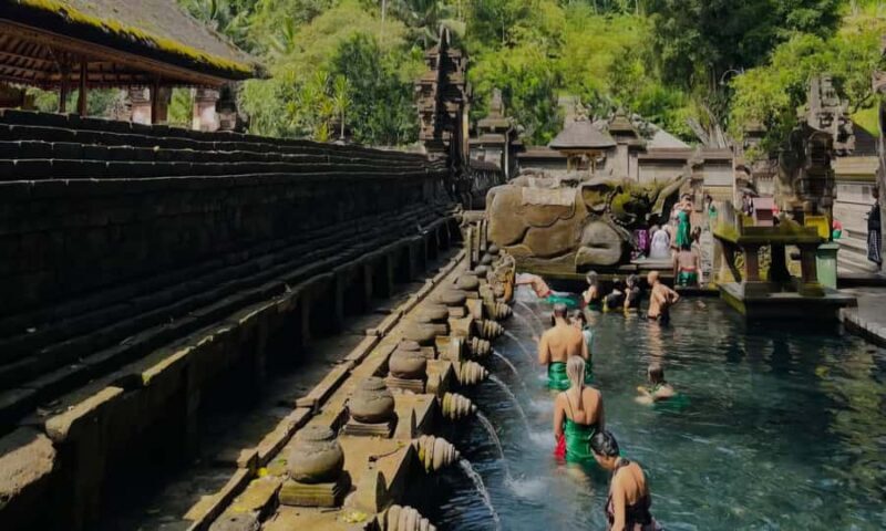 Best of Ubud: Waterfall, Temple & Rice Terrace - Key Points