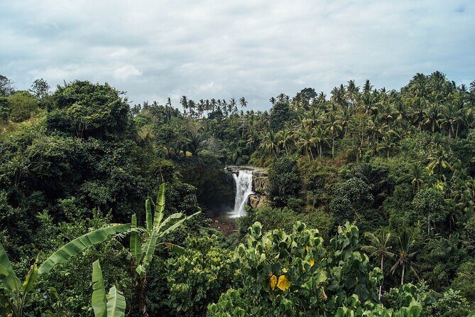 Best of Ubud Waterfalls Private Tour - Who Will Love This Tour?