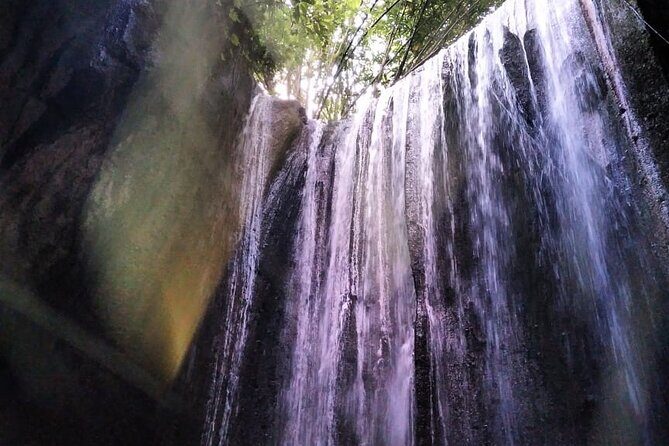 Best of Ubud Waterfalls Private Tour - Final Thoughts