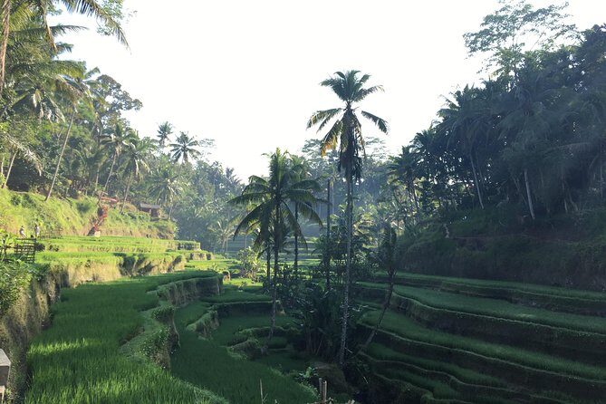 Best of Ubud Waterfalls, Tegalalang Rice Terrace and Swing Tour - FAQ