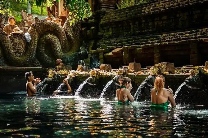Best of Ubud: Waterfalls, Temple & Rice Terraces Private Day Tour - Practical Details & What It Means for You