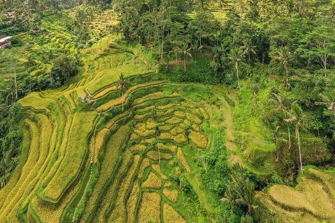 Best of Ubud: Waterfalls, Temple & Rice Terraces Private Day Tour - FAQ