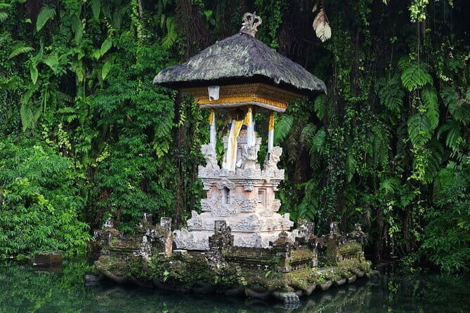 Best of Ubud with Cooking Class Experience - An Overview of What to Expect