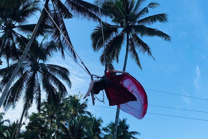 Best of Ubud with Jungle Swing Experience - Transport, guide, and overall value