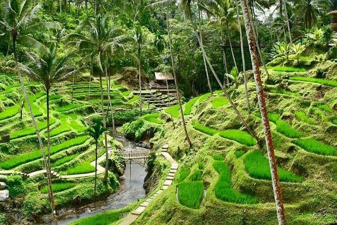 Best of Ubud With Ulu Petanu Waterfall Private Guided Tour - The Sacred and Spiritual Side of Ubud