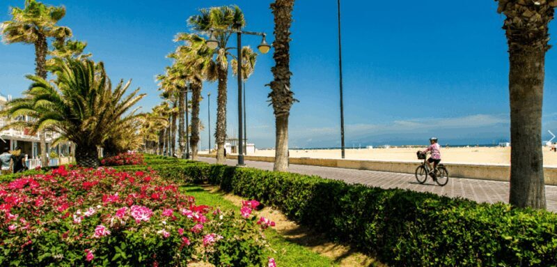 Best of Valencia: Highlights with Private Transport - The Sum Up: Is This Tour Right for You?