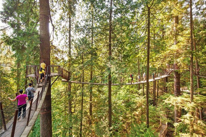 Best of Vancouver Highlights /Suspension Bridge/ Free Pizza Party Tour Private - The Experience and Practicalities