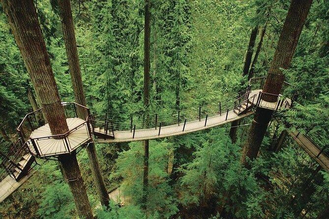 Best of Vancouver Highlights /Suspension Bridge/ Free Pizza Party Tour Private - Who Is This Tour Best Suited For?