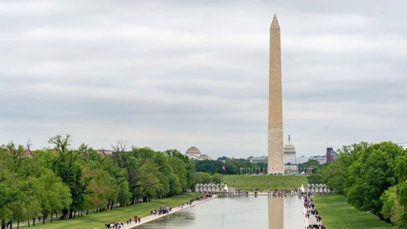 Best of Washington: Private Walking Tour with a Local - Key Points