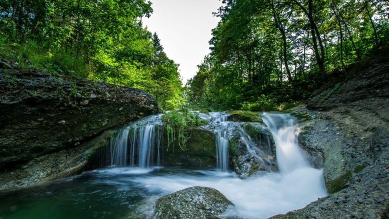 Best of Waterford: Private Walking Tour with a Local - FAQ
