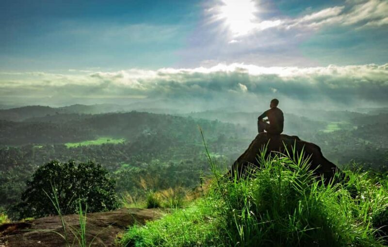 Best of Wayanad: Guided Day Trip from Mysore in a Car - The Sum Up