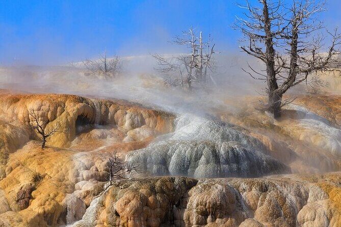 Best Of Yellowstone Full Day Nat'l Park Tour From Bozeman - An In-Depth Look at the Yellowstone Tour Experience