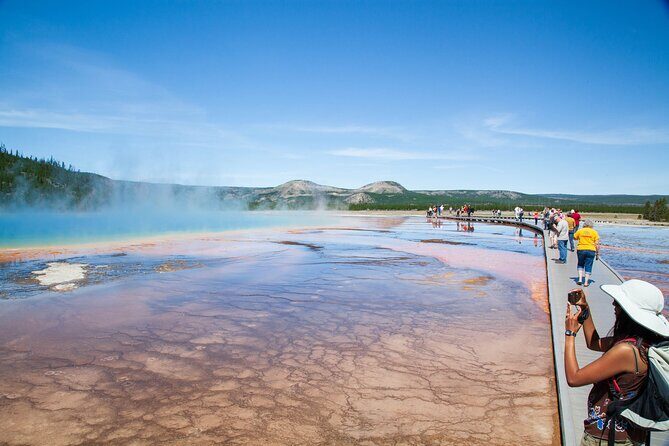 Best of Yellowstone Guided Tour from Bozeman - Private Tour - A Deep Dive into the Yellowstone Safari Adventure
