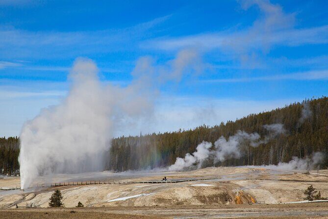 Best of Yellowstone Nat'l Park Tour from Paradise Valley - An In-Depth Look at the Yellowstone Experience