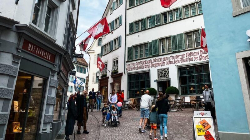 Best of Zurich: Private Walking Tour with a Local - The Sum Up