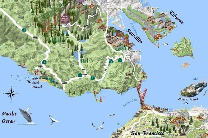 Best San Francisco, Muir Woods & Sausalito Private Combo Tour - A Friendly Guide to the Tour Experience