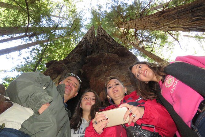Best San Francisco, Muir Woods & Sausalito Private Combo Tour - Who Will Love This Tour
