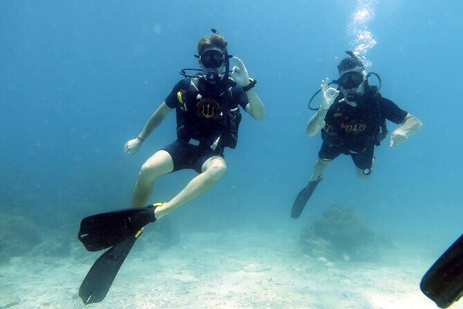 Best Scuba Diving Koh Tao Top Sites from Koh Samui - Introduction: Why Choose This Koh Tao Scuba Tour?