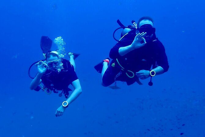 Best Scuba Diving Koh Tao Top Sites from Koh Samui - Authentic Feedback from Participants