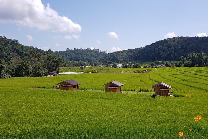 Best seller! Doi Inthanon National Park Oneday tour with the Highest point - FAQ