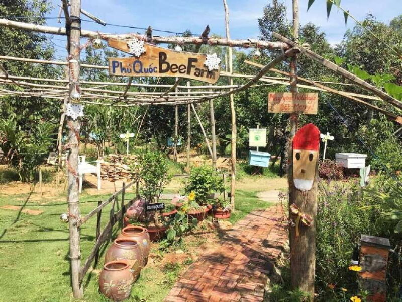 Best Seller Northern Phu Quoc & Kayak Aventure with lunch - Who This Tour Suits