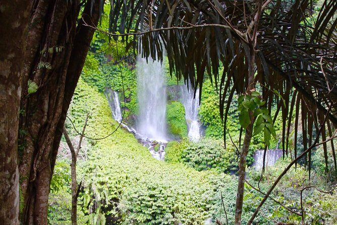 Best Sendang Gile and Tiu Kelep Waterfalls Tour - Why This Tour Is a Great Choice