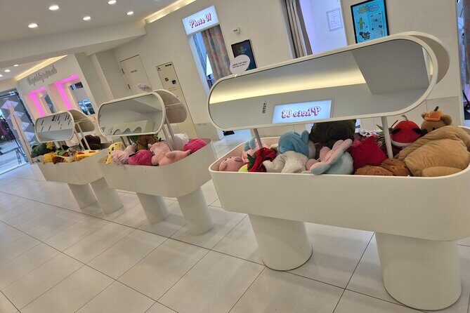 Best Seoul's hidden night view spots+Freestyle Tour - An In-Depth Look at the Tour