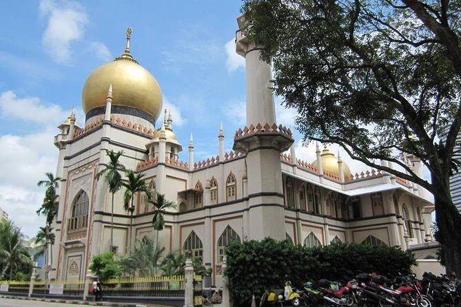 BEST Singapore Private City Tour by an Insider (1/2/3 x full-day) - Who Is This Tour Best For?