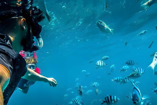 Best Snorkeling Activity in Blue Lagoon Beach Bali - Why This Tour Stands Out