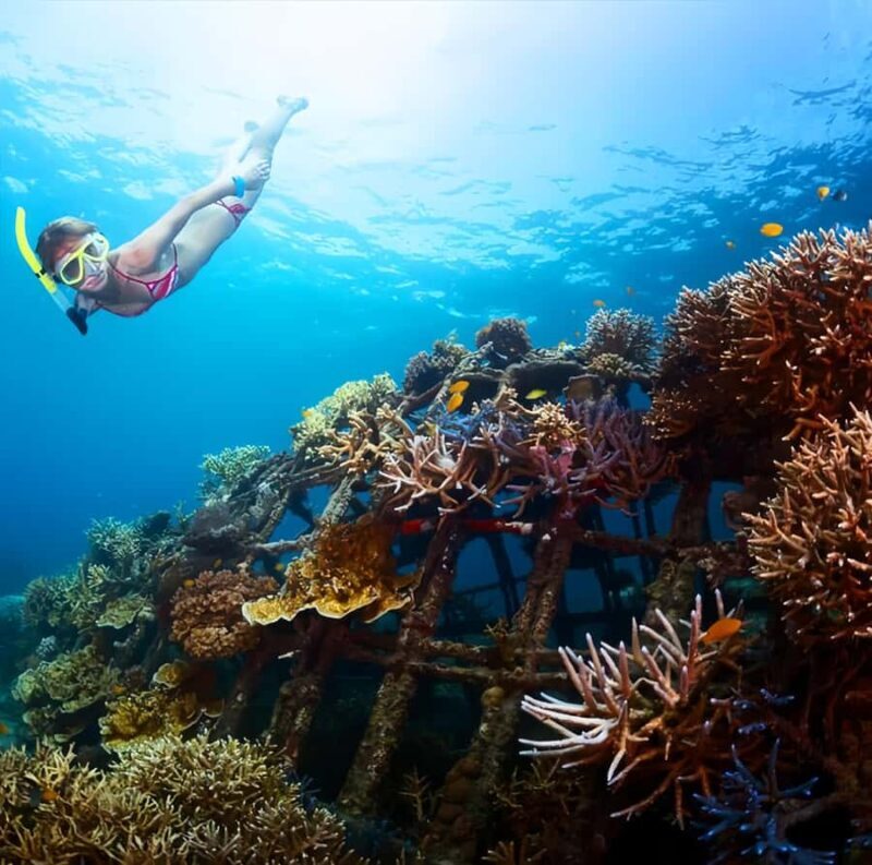 Best Snorkeling Adventure in Bali with Exciting Activities - Key Points