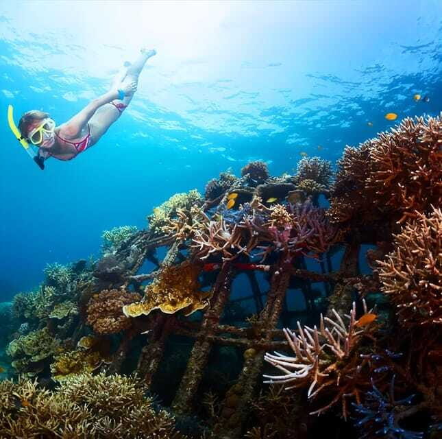 Best Snorkeling Adventure in Bali with Exciting Activities - FAQs