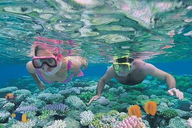 Best Snorkeling Lombok: Gili Nanggu, Gili Kedis & Gili Sudak Day-Trip - A Detailed Breakdown of the Experience