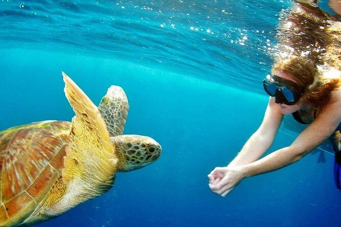 Best Snorkeling Trip at Blue Lagoon Bali - What to Expect from This Full-Day Snorkeling Adventure