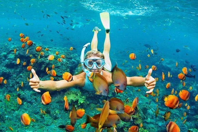 Best Snorkeling Trip at Blue Lagoon Bali - Logistics and Value