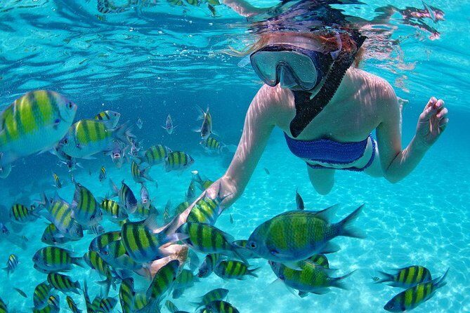 Best Snorkeling Trip at Blue Lagoon Bali - A Balanced Perspective on the Tour